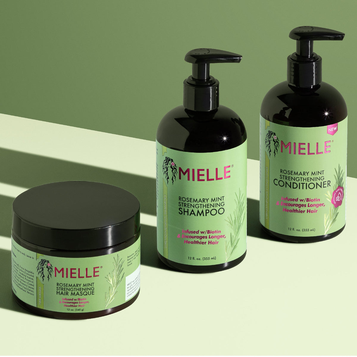 Viva Feindlich Gem se Rosemary Shampoo Mielle Busch Bibel D ster viva-feindlich-gem-se-rosemary-shampoo-mielle-busch-bibel-d-ster